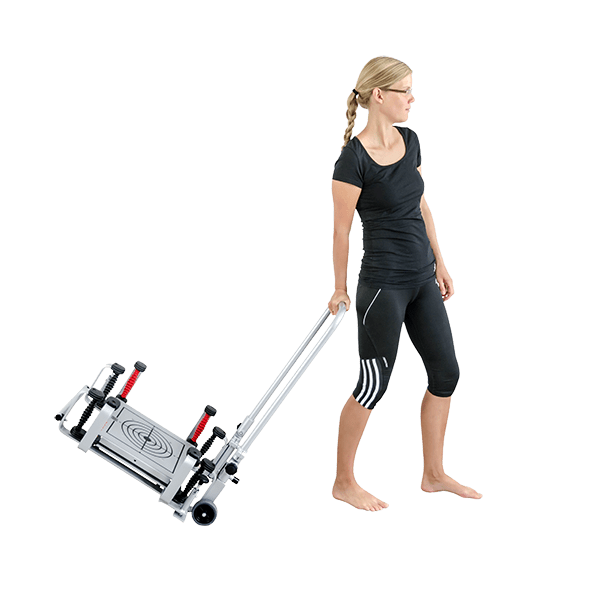 Bioswing Posturomed - Physioaspect Linke GmbH